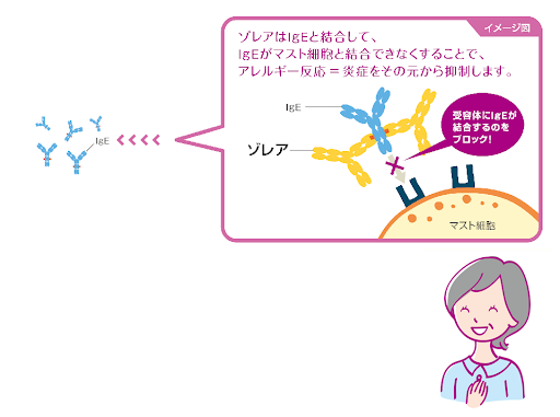 重症花粉症の治療～ゾレア®について～ イーヘルスクリニック新宿院 - 新宿三丁目徒歩1分【イーヘルスクリニック新宿院】